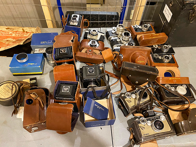 A photographer's dream yard sale! These vintage beauties are ready for their close-up, each with a tale to tell and a selfie to take.