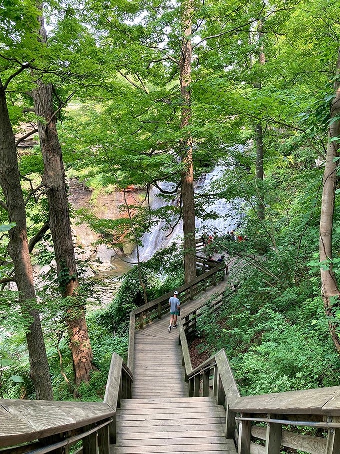 Stairway to heaven? Close! These wooden steps lead visitors down to nature's own amphitheater, with Brandywine Falls as the headline act.