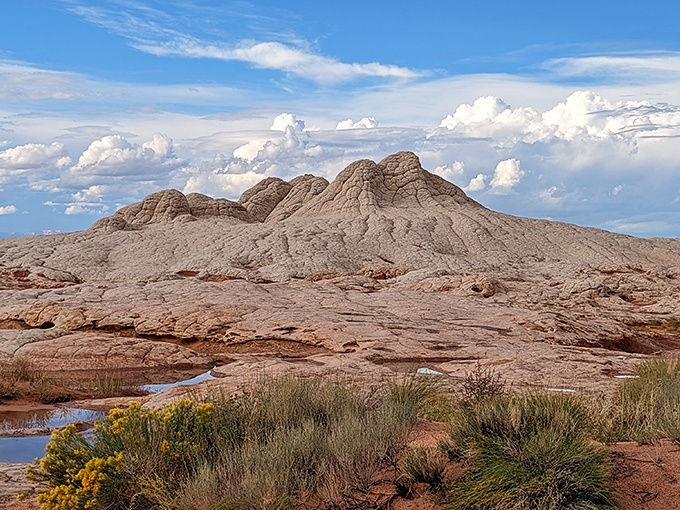 White Pocket or marshmallow world? These pillowy rock formations look good enough to roast over a campfire, but I'd stick to s'mores if I were you.