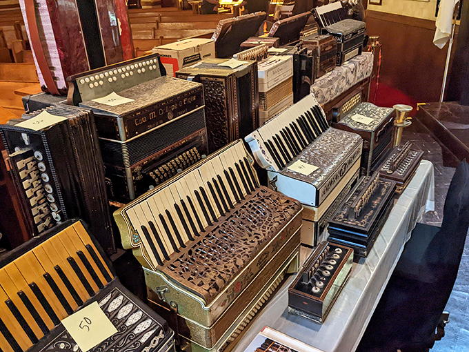 Accordion to these displays, variety is the spice of life! From dainty concertinas to hefty piano accordions, this collection hits all the right notes.