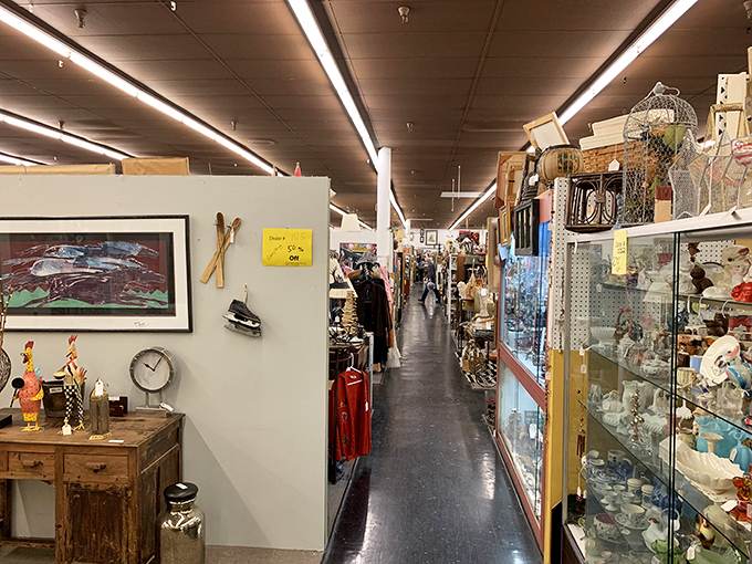 Aisle after aisle of treasures, each one a portal to the past. It's like walking through a time machine, minus the flux capacitor and paradox worries.