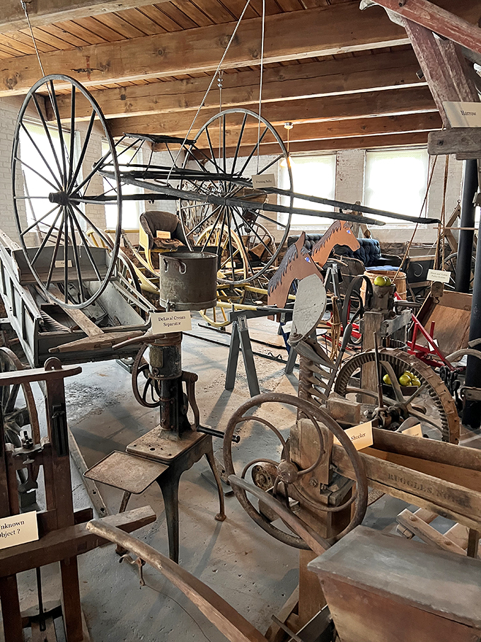 Grandpa's attic meets mad scientist's lab. If these gizmos could talk, they'd spin yarns wilder than a Maine lobsterman's tall tales!