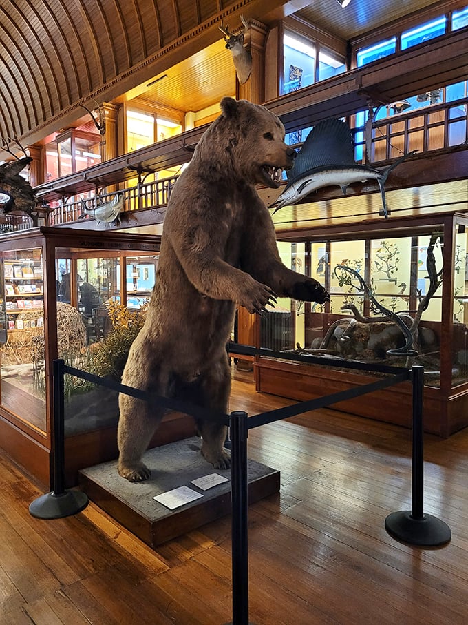 "Fish are friends, not food!" This towering bear clearly didn't get the memo. A grizzly reminder of nature's impressive scale.