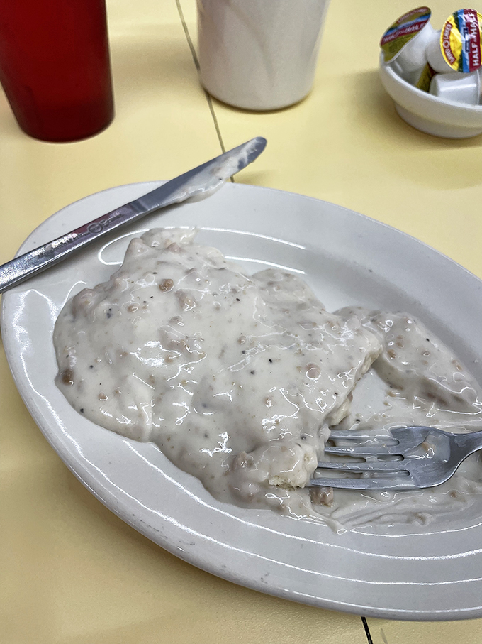 Biscuits and gravy: the comfort food equivalent of a warm hug from your favorite aunt. Pure, creamy bliss! 