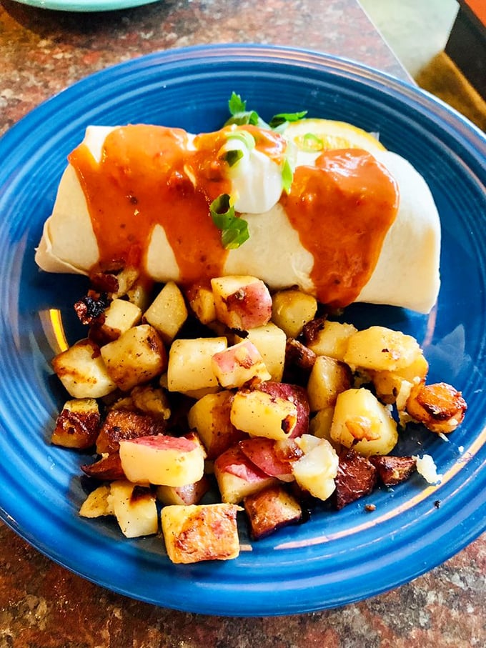 Burrito or work of art? This plate is giving serious "Jackson Pollock meets Mexican cuisine" vibes.