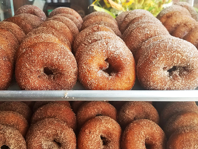 Behold, the holy grail of fall treats! These cider donuts are so irresistible, they should come with a warning label.