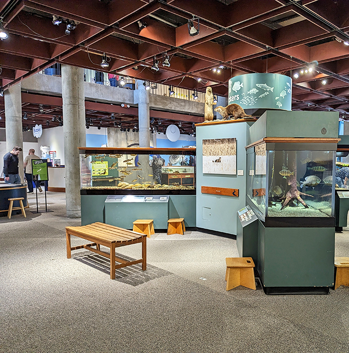 Dive into a sea of knowledge! These aquatic exhibits bring the mysteries of the deep to the surface, no scuba gear required.