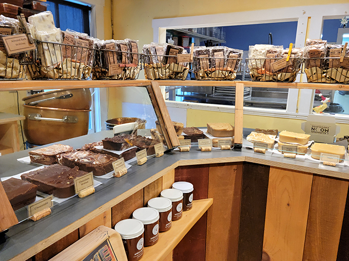 Fudge, glorious fudge! These slabs of sweetness look dense enough to use as doorstops, but trust me, they won't last that long.