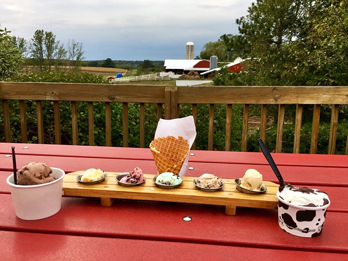 Farm-fresh flavors with a view to moo for! This ice cream flight is your ticket to taste bud paradise.