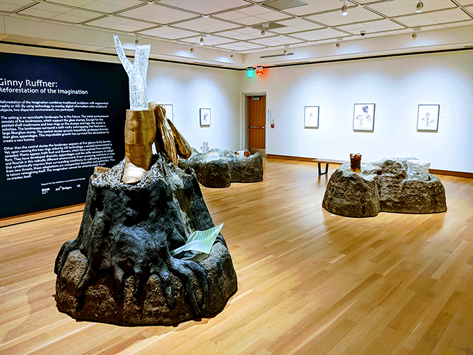 Welcome to the tree-mendous world of Ginny Ruffner! This exhibit takes root in our imagination, branching out into a forest of artistic wonder.