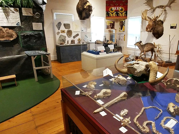 Nature's greatest hits, all under one roof. From rocks to raptors, it's like Mother Earth's personal scrapbook came to life.