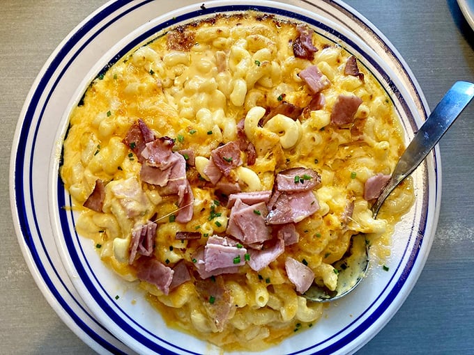 Mac and cheese that's out of this world! This celestial creation is so cheesy, it might just solve the mystery of the Milky Way's formation.