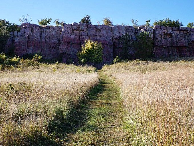 Nature's red carpet! This trail through the prairie is like the Oscars for wildflowers - everyone's dressed up and ready to shine.