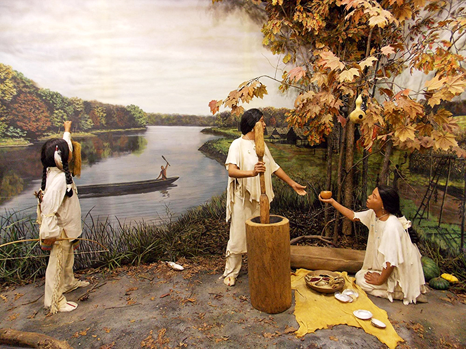 "A slice of prehistoric life!" This diorama brings ancient shores to life, proving that even our earliest ancestors enjoyed a good day at the beach.