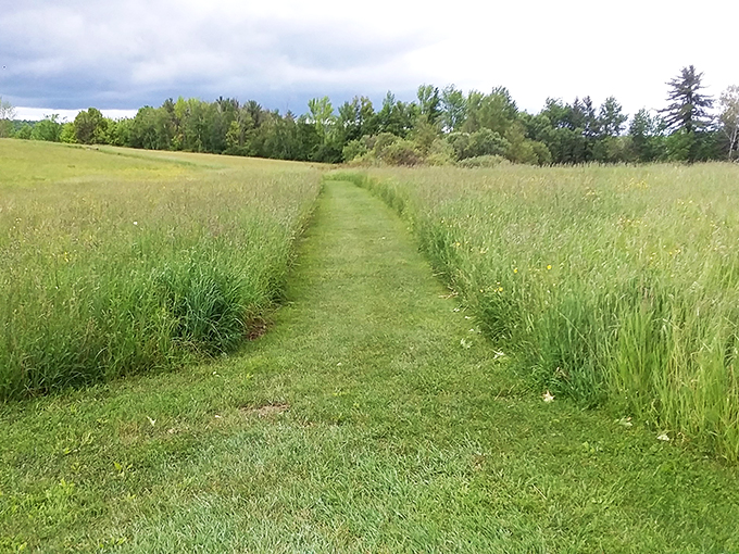 Nature's red carpet, minus the paparazzi. This trail invites you to strut your stuff like a revolutionary rock star!
