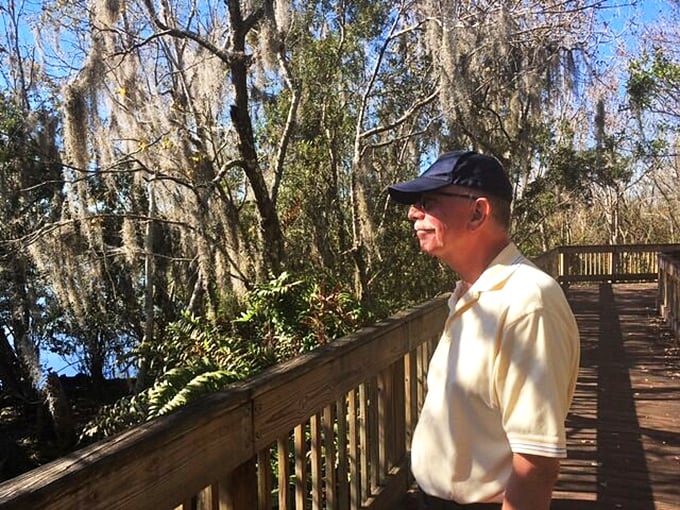 Bird's eye view or human's eye view? This lookout spot gives you a taste of what it's like to be Florida's feathered residents.