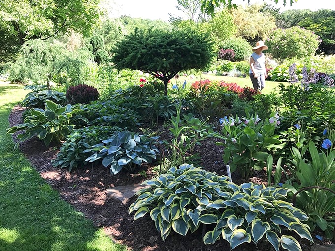 Garden explorers in their natural habitat! These intrepid plant enthusiasts are on a mission to discover the next big thing in horticulture.