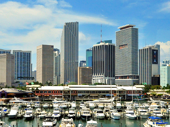 Miami's skyline: Where skyscrapers compete with Christmas trees for who can shine brightest. This view could make even Scrooge believe in holiday magic.