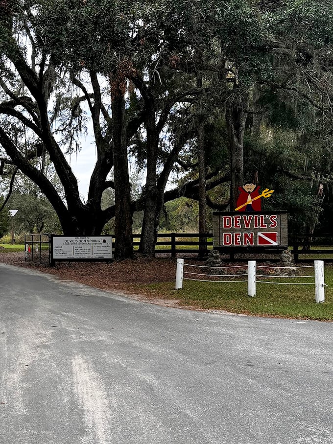 Take the plunge on your road trip! Devil's Den offers a refreshing dip into Florida's hidden underworld.