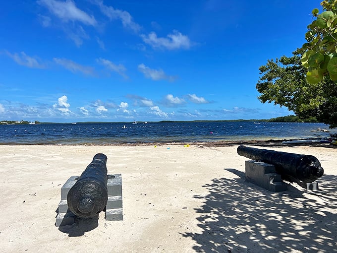 Where the grass is greener... and underwater! Welcome to Pennekamp's marine meadows.