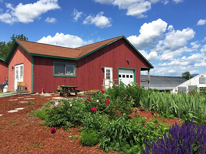 Roadside attraction alert! Pull over for a pick-your-own adventure at this charming orchard.