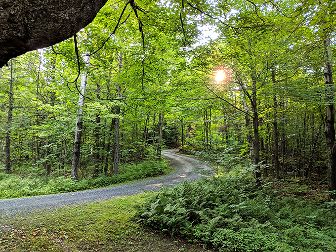 Log cabin dreams come true. This rustic retreat is what happens when Paul Bunyan decides to go into real estate.
