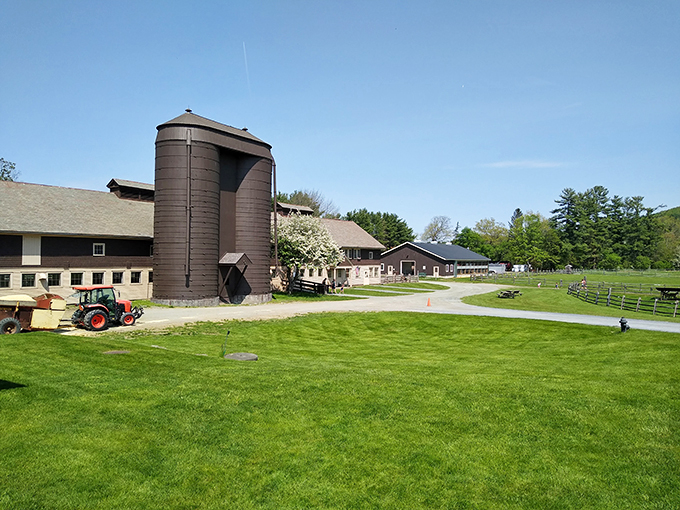 Moo-ve over, city life! This farm stop will have you trading horsepower for actual horses.