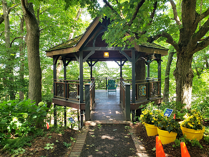 Where storybooks come to life. It's like walking through the pages of your childhood favorites, minus the paper cuts.