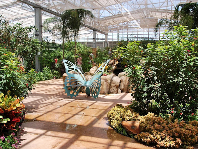 Step into a living kaleidoscope. It's like being inside a Monet painting, but with more wings and less water lilies.