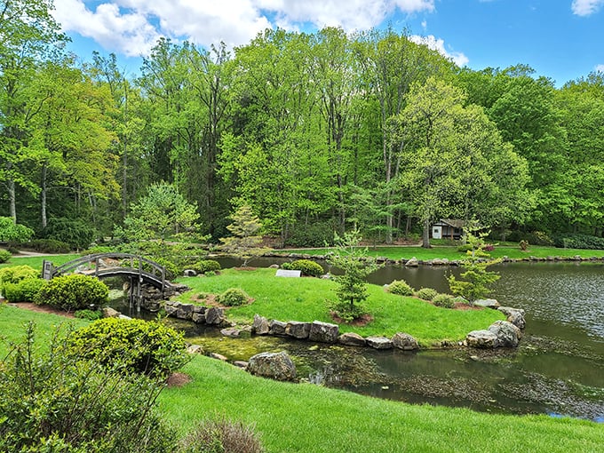 "Tree huggers, rejoice! This woody wonderland is like Narnia for nature lovers."