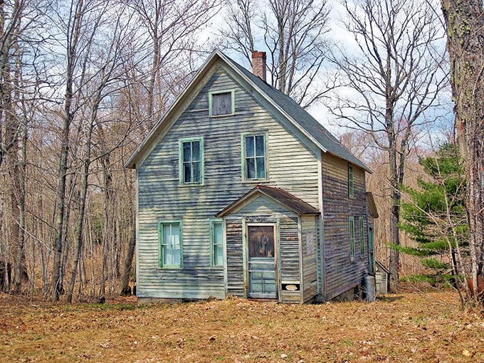 Now you see it, now you don't! Mandan plays hide-and-seek with visitors, blending seamlessly into the Keweenaw wilderness.