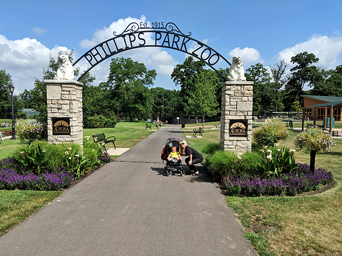 "Mastodons: Like elephants, but fluffier and with a penchant for ice skating across Illinois."