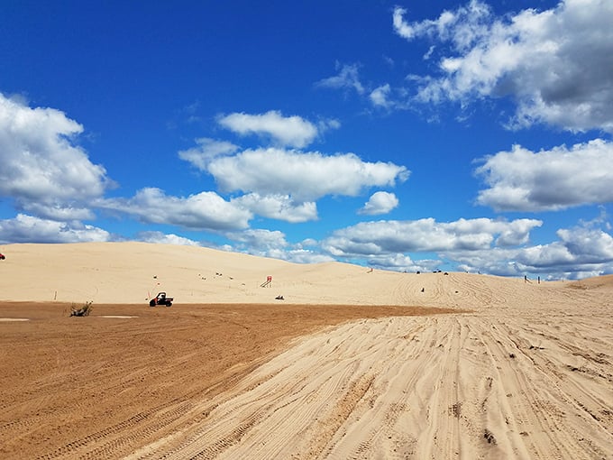 Silver Lake's dunes: Mother Nature's rollercoaster. Sandboarding here is the Midwest's answer to surfing.