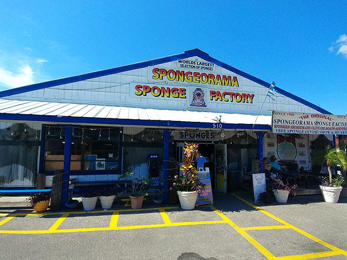 It's like SeaWorld, but instead of dolphins, you've got... well, sponges. Tarpon Springs' claim to fame is nature's loofah.