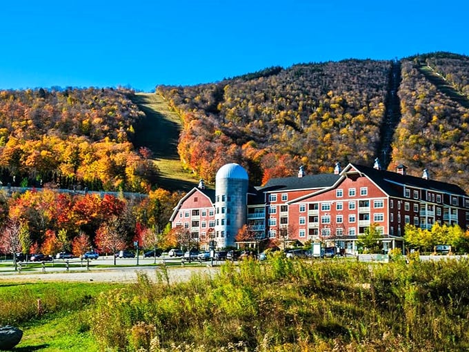 Sugarbush: Where the grass is greener and the views are sweeter. Summer here is like a landscape painting come to life.