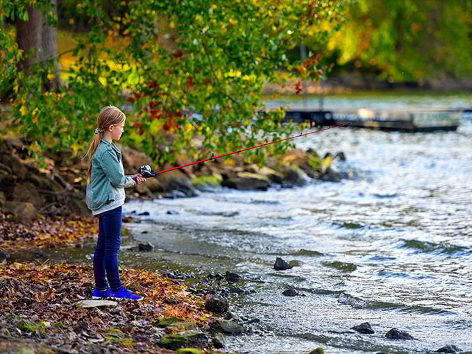 Road trip pit stop perfection: Tappan Lake's bustling shores are an adventure waiting to happen.