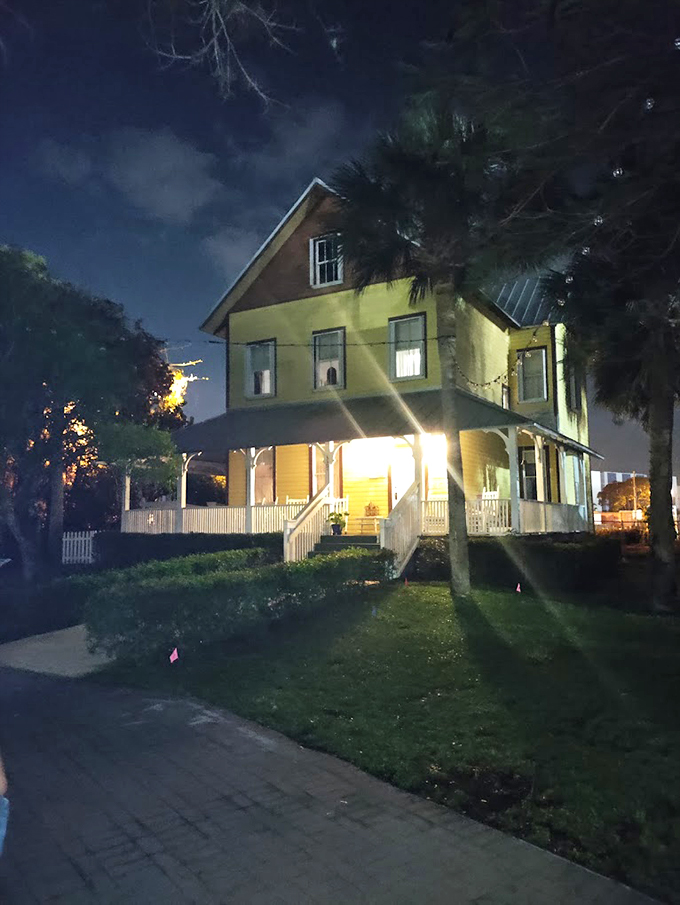 The Riddle House: Where every creak and shadow has a story, and the past refuses to stay in the history books.