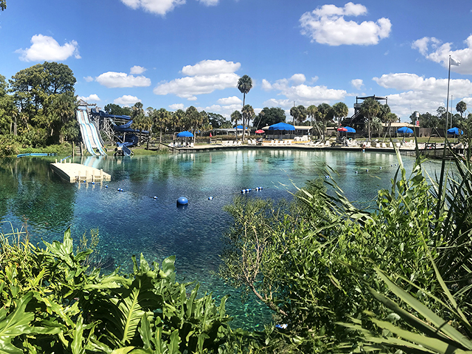 Detour to the deep! Weeki Wachee is the roadside attraction that'll make you believe in mermaids.