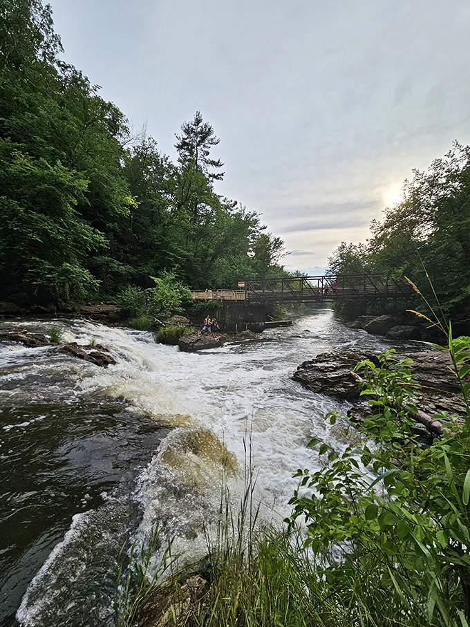 Willow Falls spreads across those rocks like someone turned on every faucet in the house at the same time.