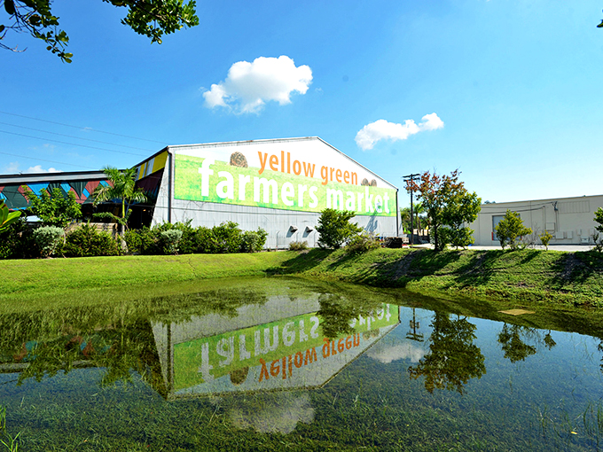 Green giant alert! This eco-friendly behemoth is like a greenhouse on steroids, ready to satisfy your produce cravings.