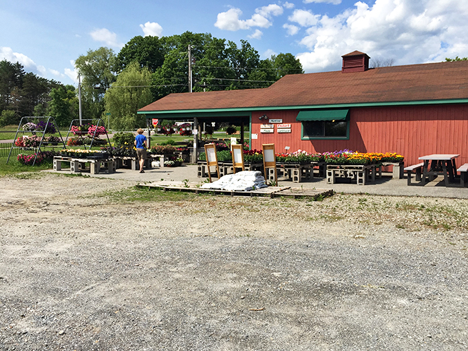 Stretch your legs and fill your basket. This farm market is the perfect pitstop for road trip provisions.