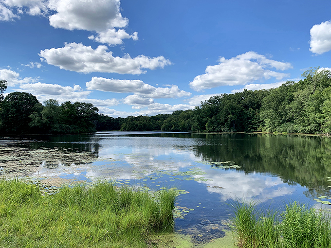 Trail mix, anyone? Bald Mountain's winding paths offer a smorgasbord of outdoor activities for hikers, bikers, and nature enthusiasts alike.