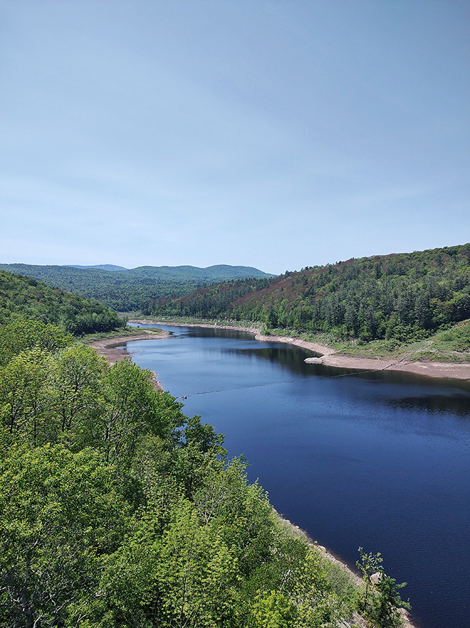 Who needs in-flight entertainment when you've got these summit views? Your road trip just got an upgrade.