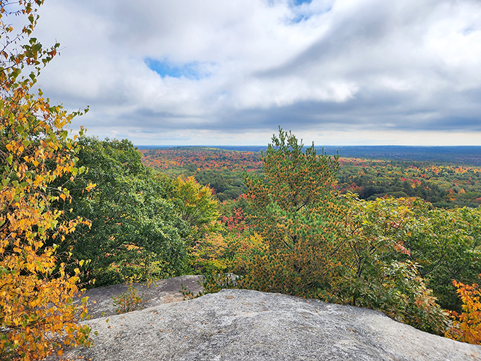 Bradbury Mountain's summit: Where 'I'm king of the world!' meets 'I can see my house from here!'