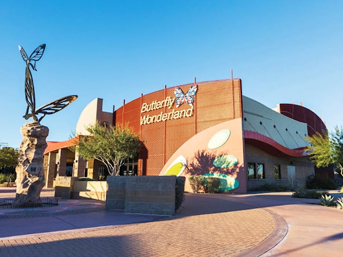 Witness nature's ultimate makeover show. From caterpillar to butterfly &ndash; no glam squad required!