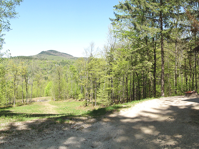 Camping with a view: Where your tent becomes a five-star suite with an ever-changing forest panorama.