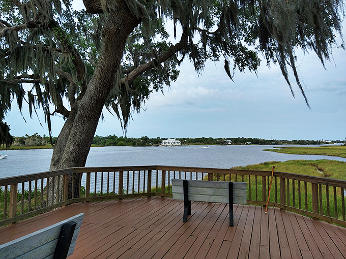 Crystal River's time capsule. A serene boardwalk invites you to stroll through millennia of Native American history.