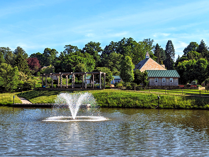 "Swamp thing meets Buckeye State: Cypress knees and Ohio skies create an unlikely paradise."