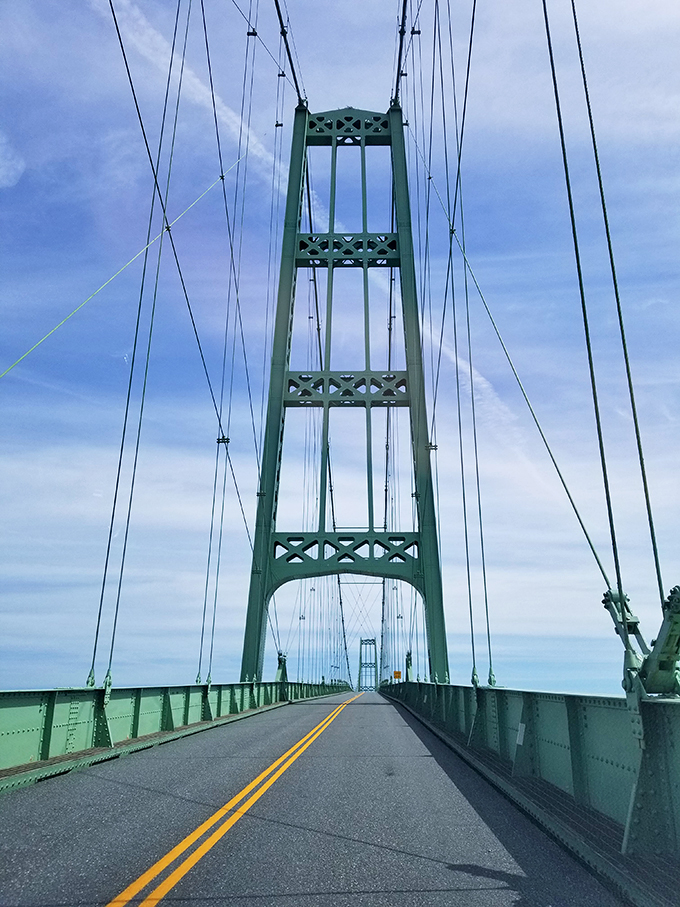 Suspended between sky and sea, this bridge turns a simple crossing into a scenic adventure.