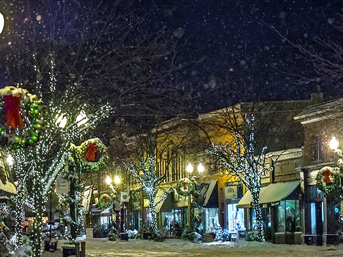 Navigate to Excelsior's lakeside winter wonderland. It's the perfect place to park your sleigh and soak in some small-town holiday magic!